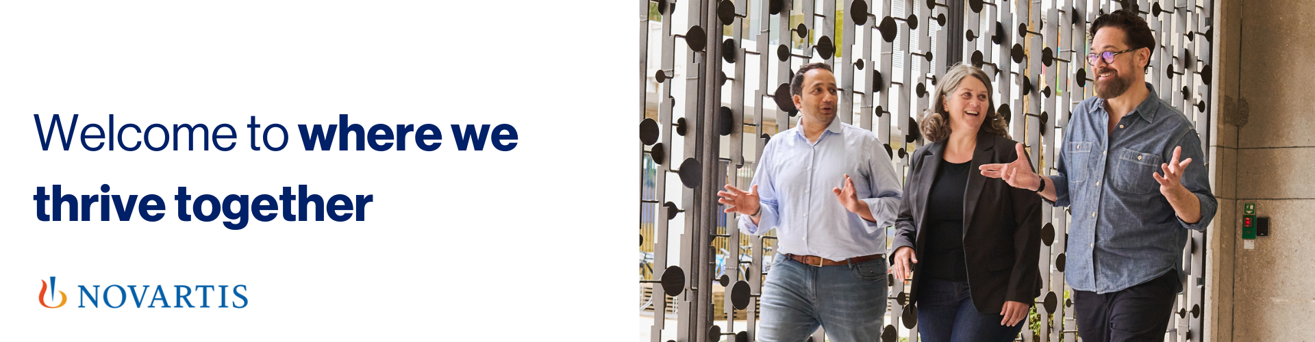 Novartis Careers Search for Jobs